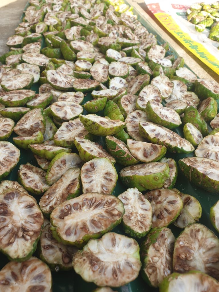 (Tiếng Việt) Quả Nhàu Khô | Shop Trái Nhàu A ĐẠT I Noni Fruit Mart