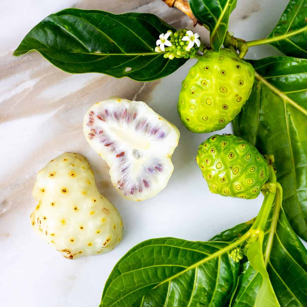 Tin tức | Shop Trái Nhàu A ĐẠT I Noni Fruit Mart